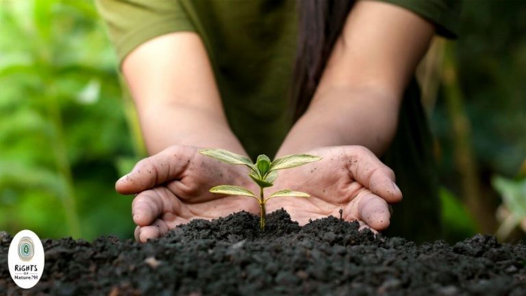 11 Ways To Conserve Natural Resources You Can Do Right Now - Rights Of ...