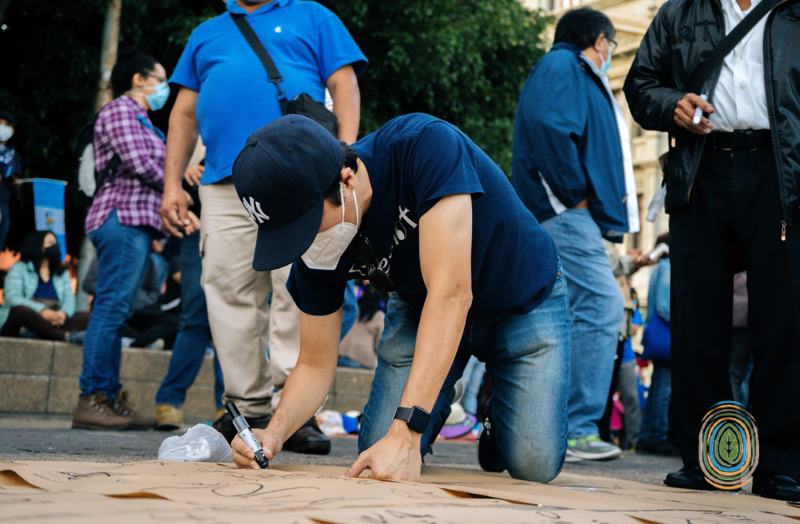 Environmental advocacy organization: 6 Steps to discover the right one ...